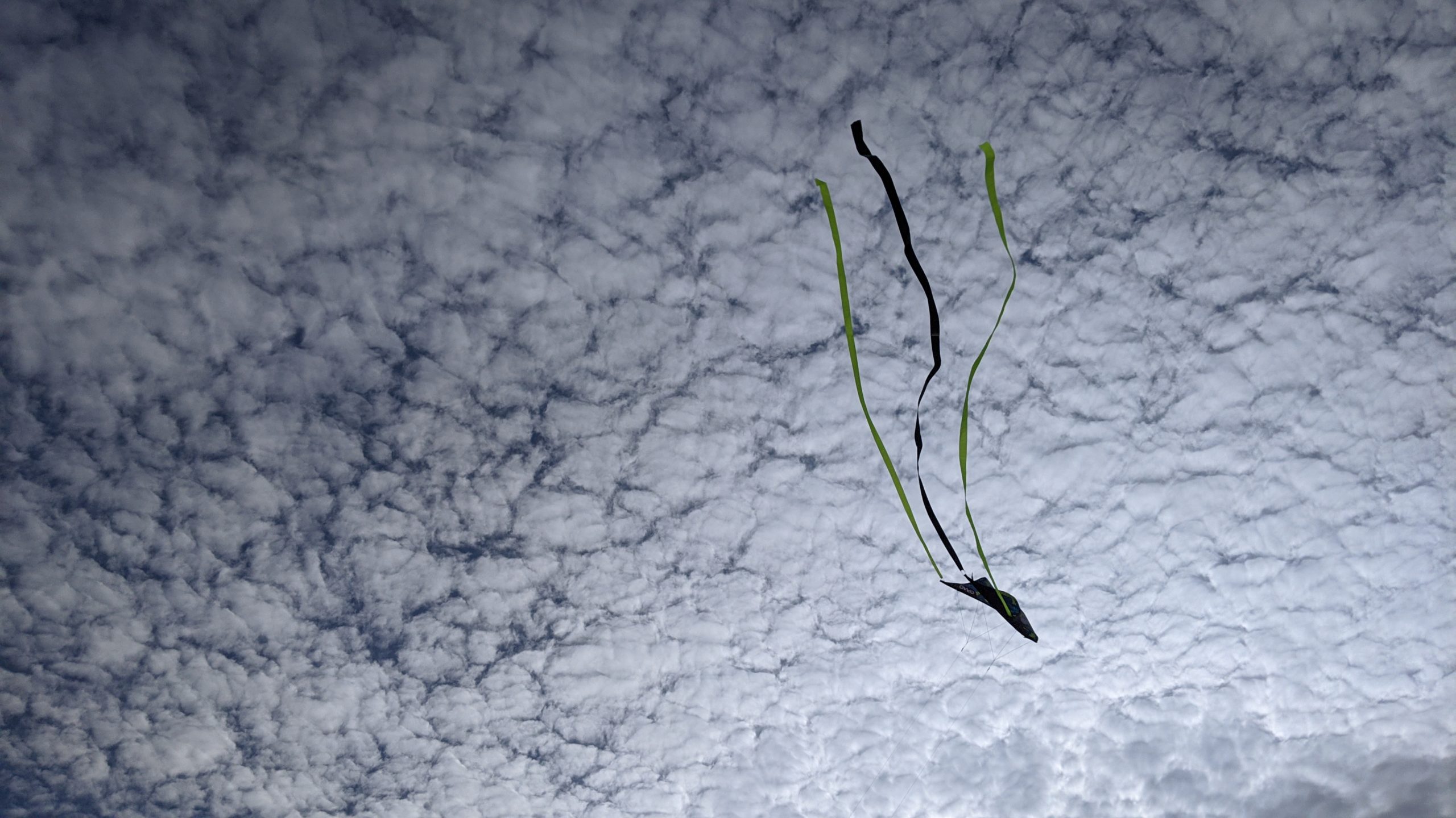 Et maintenant ? – VelAventure